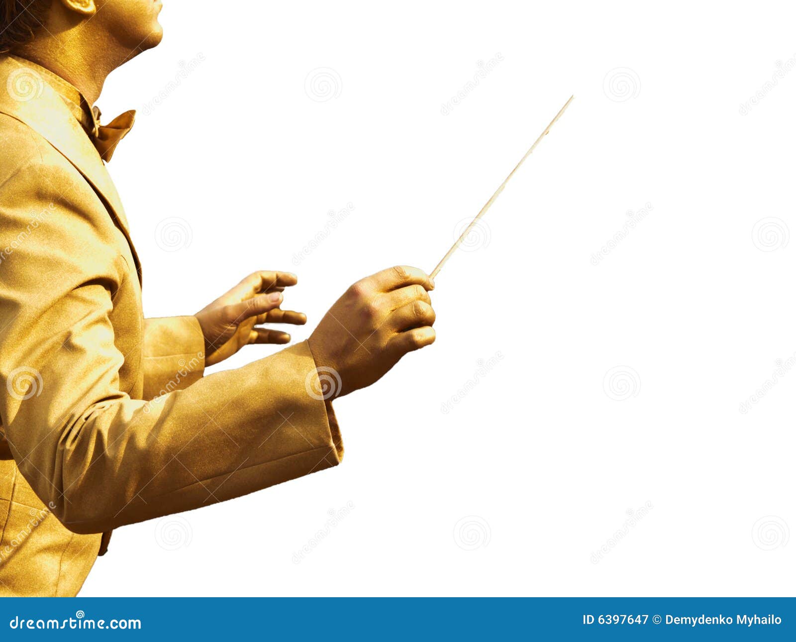 Gold Conductor S Hands. Orchestral Conductor in Action Stock Image ...