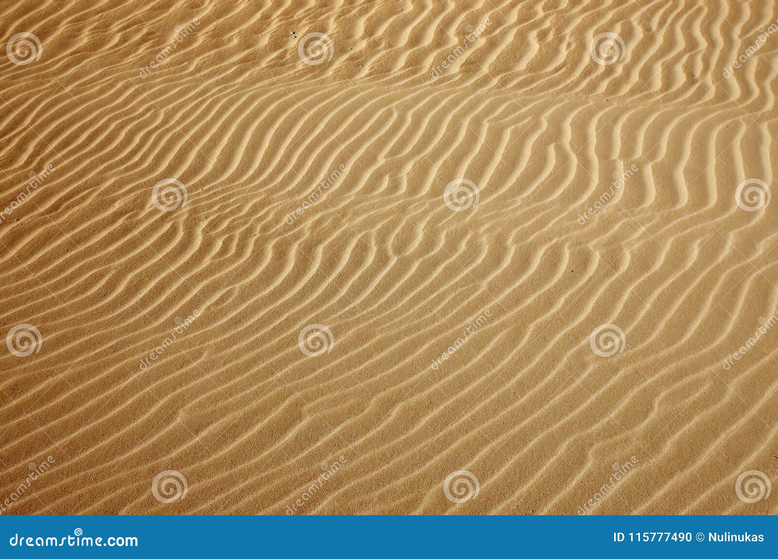 Gold desert Sand texture stock photo. Image of dune - 115777490