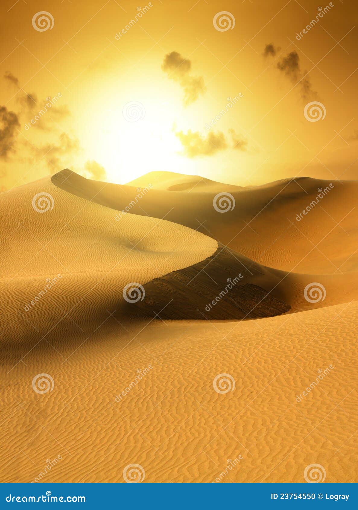 Gold desert. Sunset. stock photo. Image of golden, horizon - 23754550