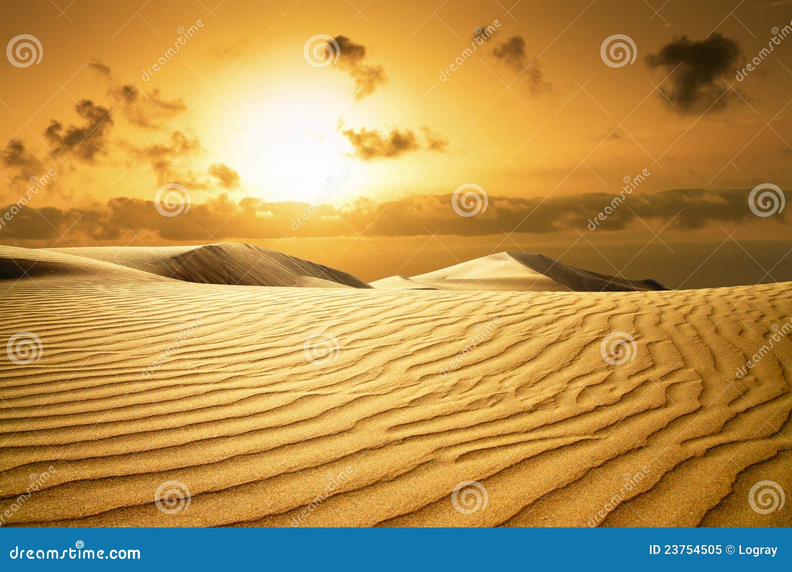 Gold desert. Sunset beach. stock image. Image of beauty - 23754505