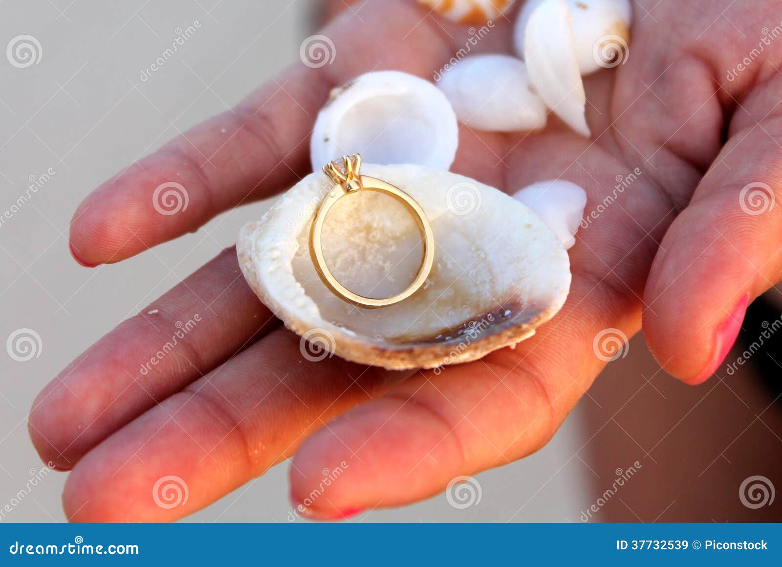 Gold Diamond Ring in a White Shell Stock Image - Image of sunset, ring ...