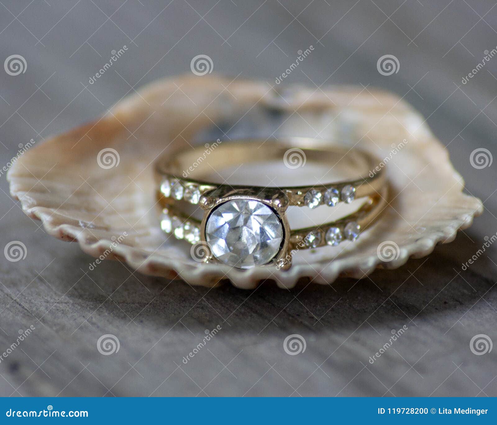 Wedding Ring on Seashell stock photo. Image of seashell - 119728200