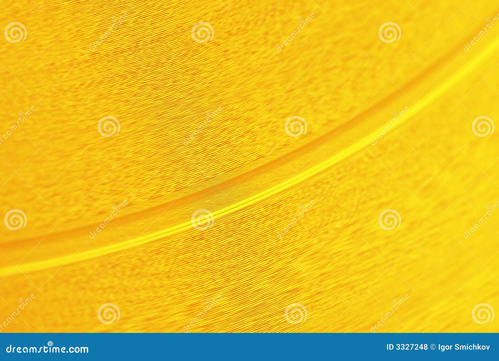 Gold Disk, Vinyl Disk, Retro Stock Photo - Image of jockey, gold: 3327248