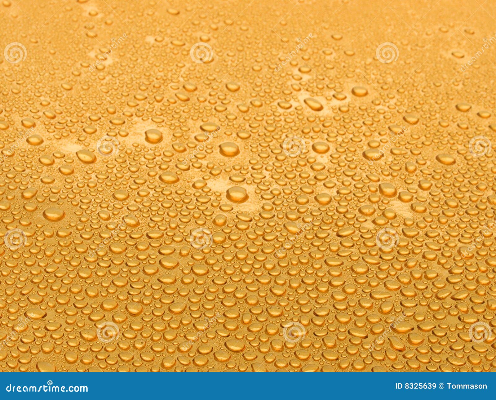 Gold Drops stock image. Image of texture, drops, surface - 8325639