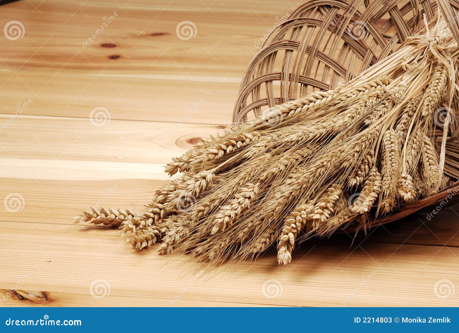 Gold Ears of Corn in the Dimin Stock Image - Image of crop, bakery: 2214803