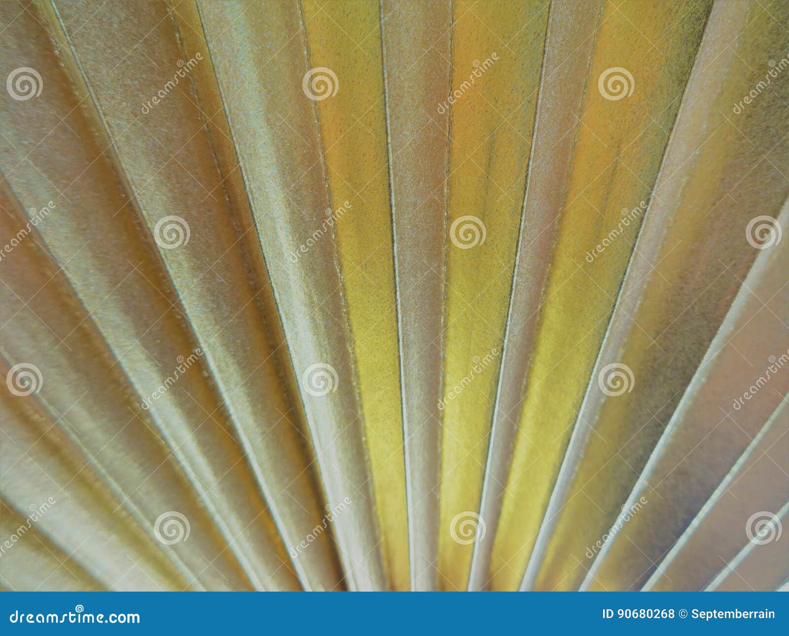Gold fan texture stock photo. Image of item, japan, beauty - 90680268