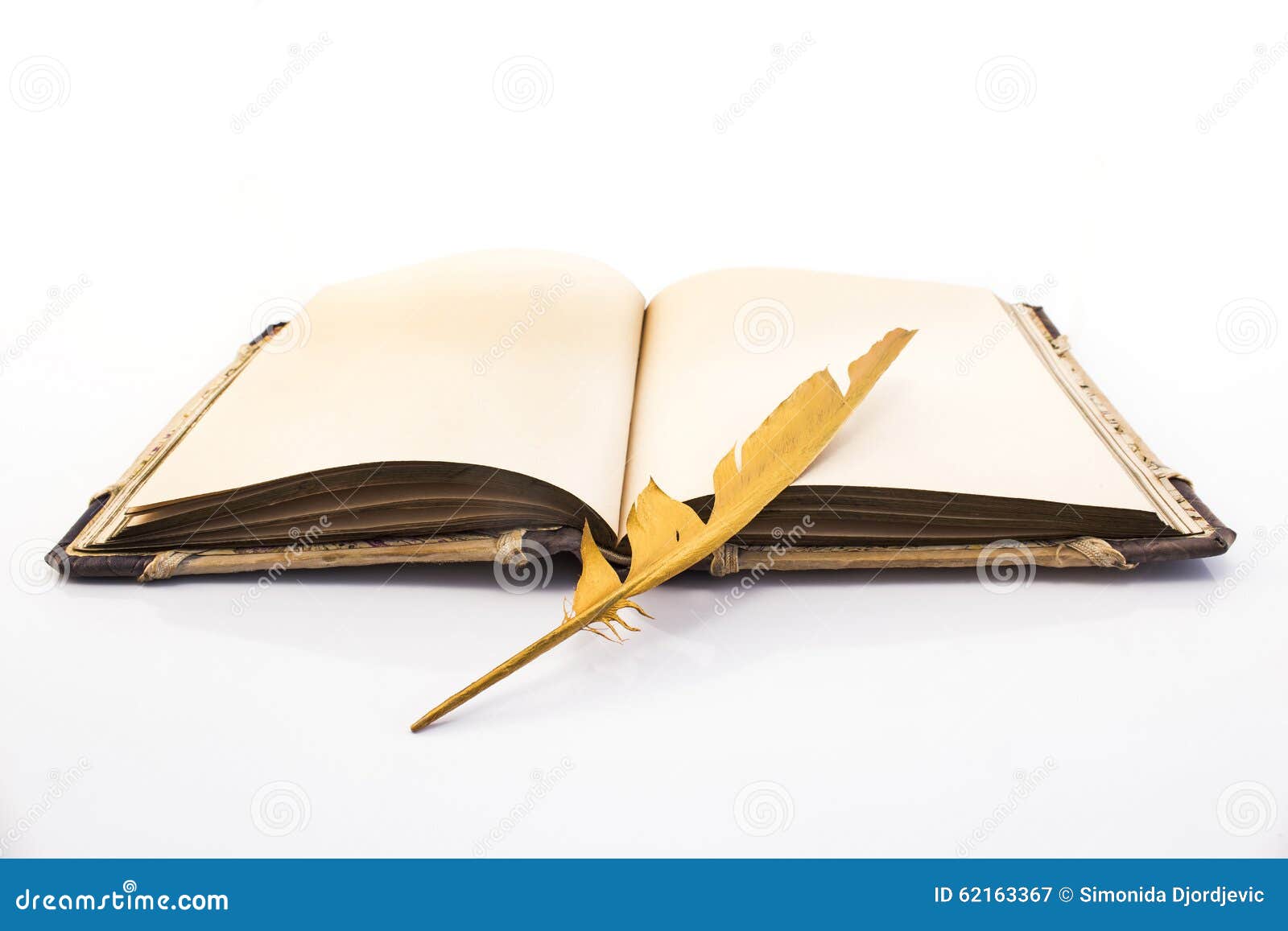 Gold Feather and Book Isolated on White Stock Image - Image of study ...