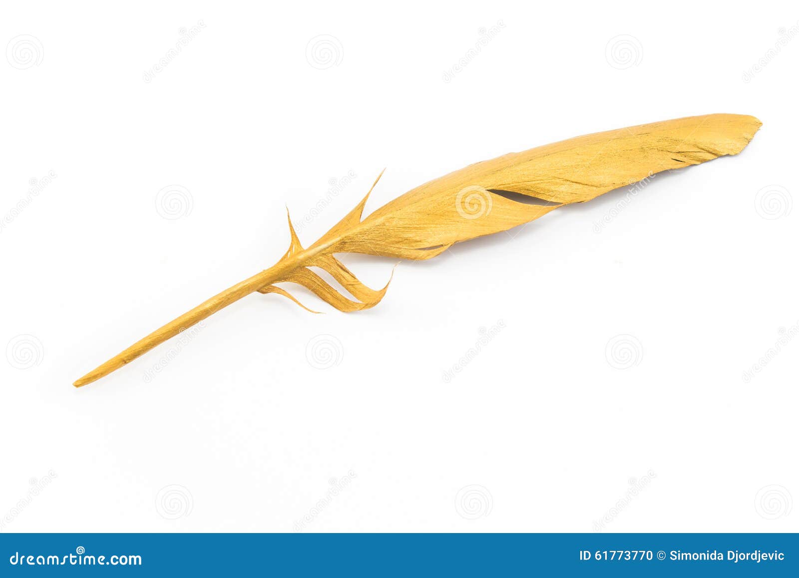 Gold Feather Isolated on White Stock Photo - Image of gorgeous, gold ...