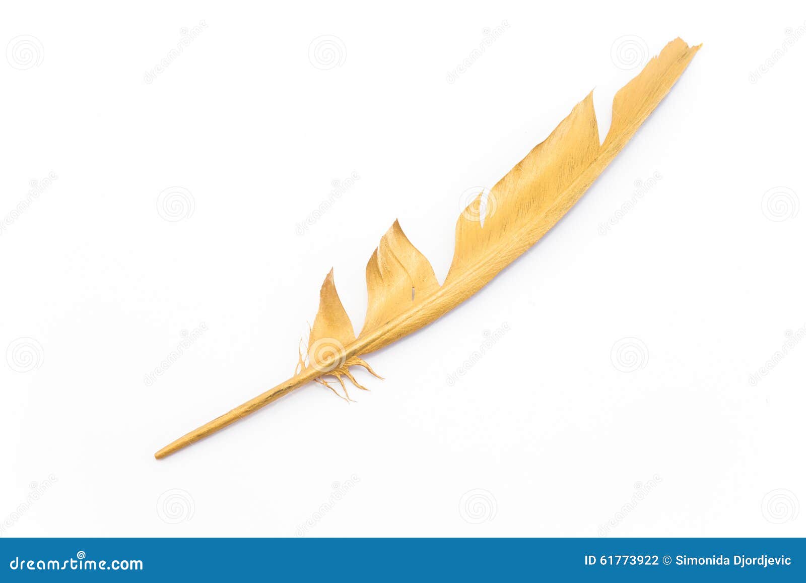 Gold Feather Isolated on White Stock Photo - Image of money, writing ...