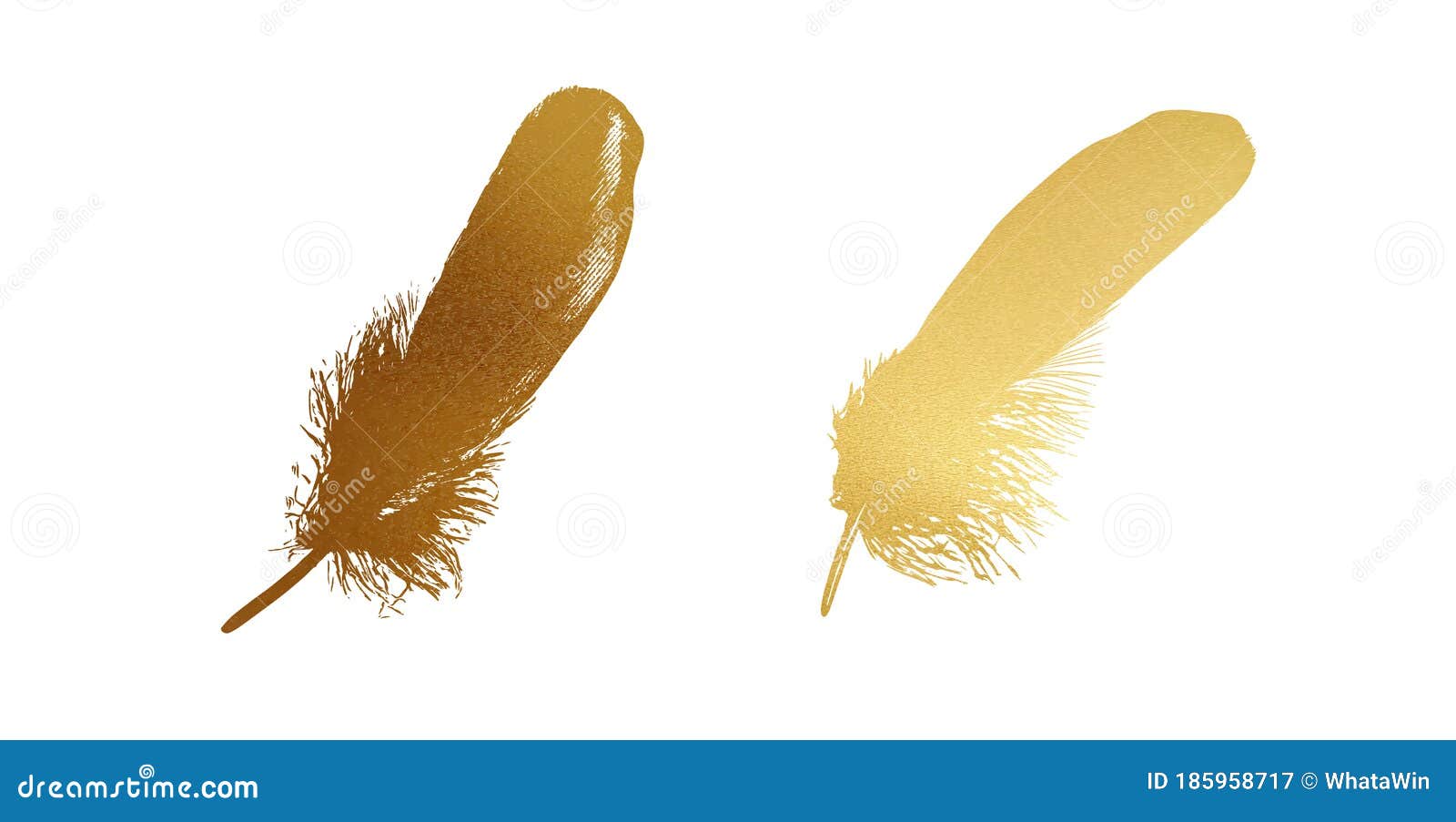 Gold Feathers Graphic Vector Illustration Set Isolated on White ...