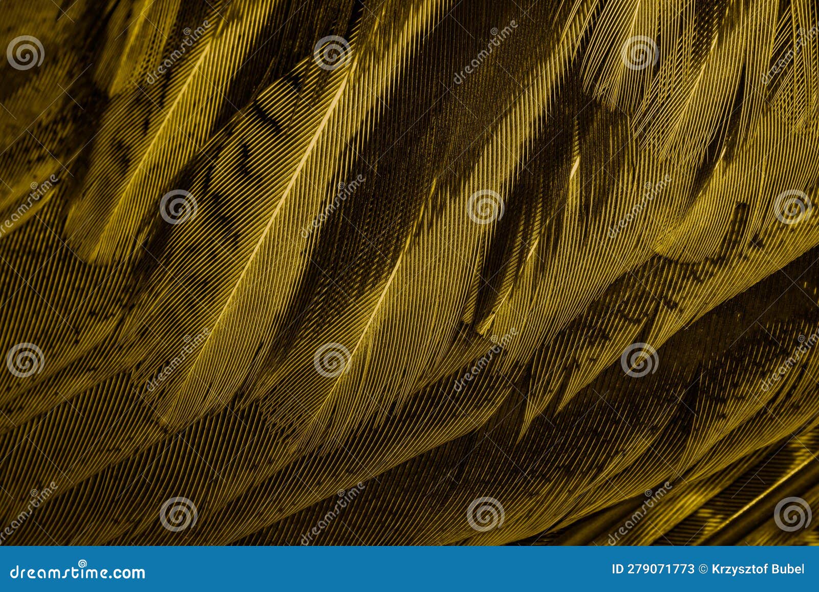 Gold Feathers with an Interesting Pattern . Background Stock Image ...
