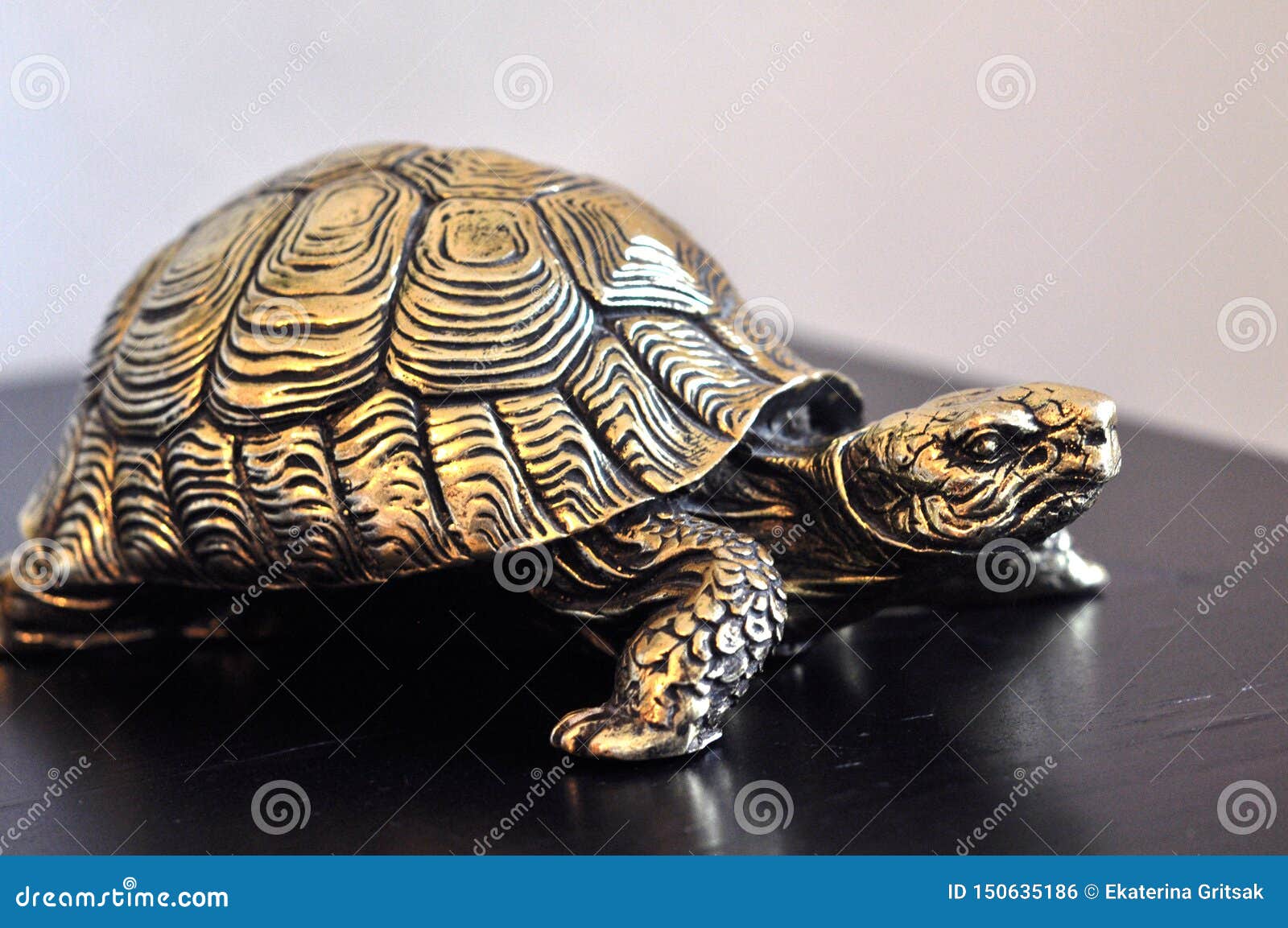 Gold feng-shui turtle stock photo. Image of buddhism - 150635186