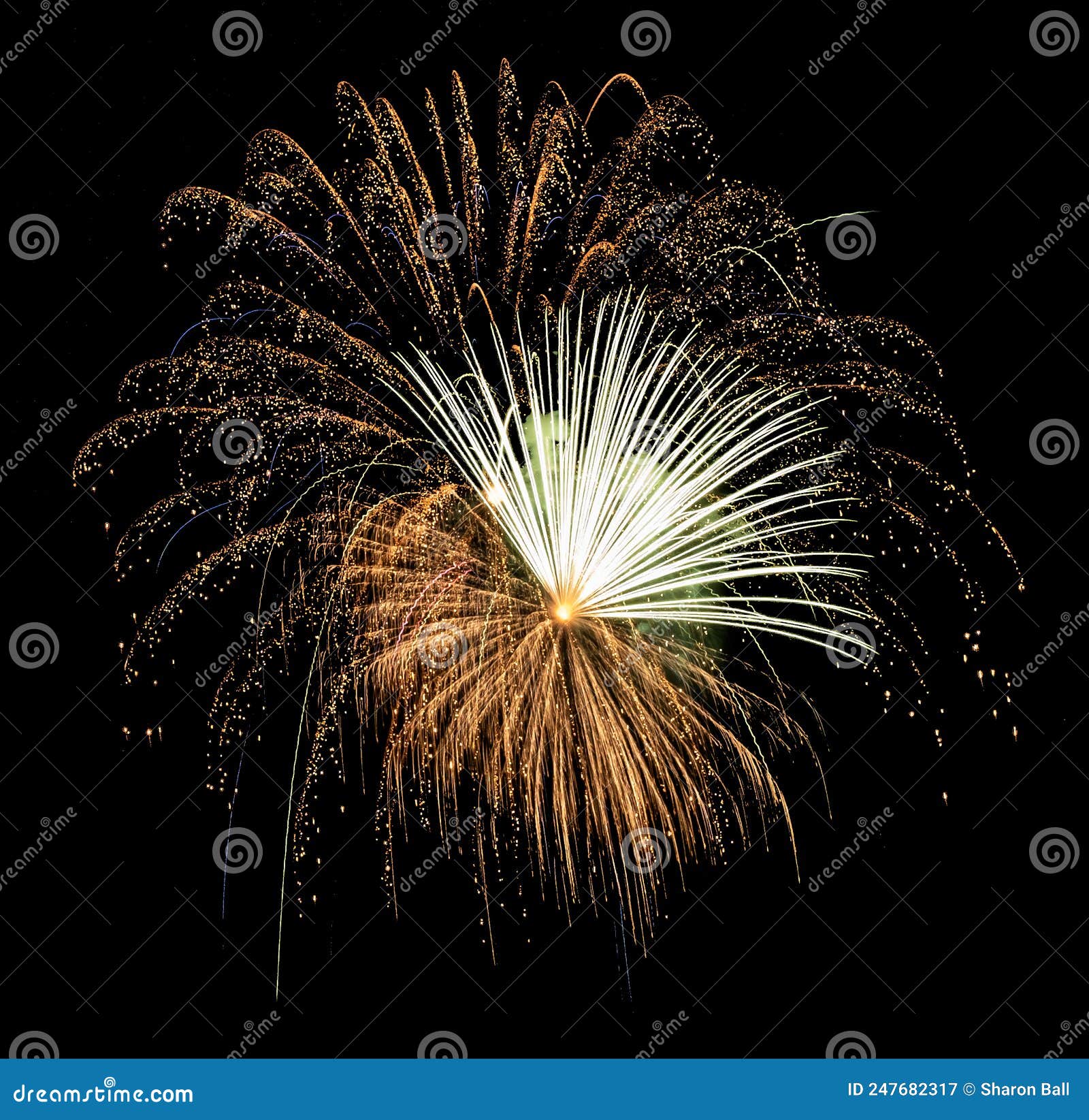 Gold Firework with a White Feather Coming from Center Stock Image ...