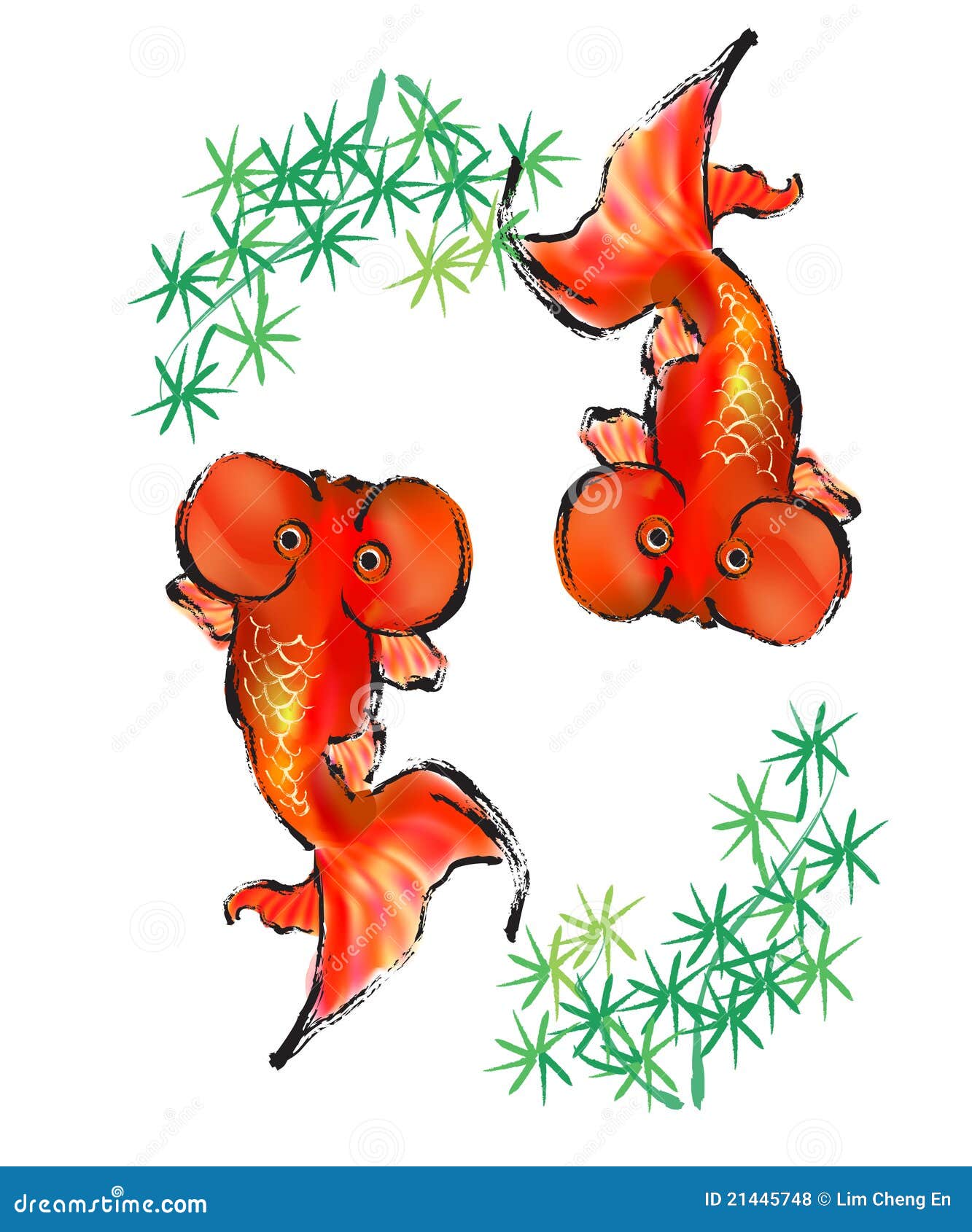 Gold fish stock illustration. Illustration of pair, isolated - 21445748