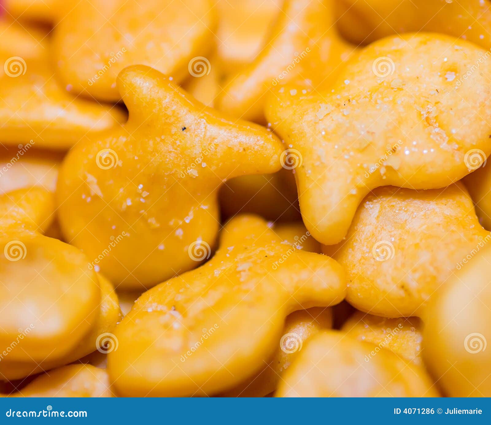 Gold Fish Crackers stock photo. Image of crisp, cracker - 4071286