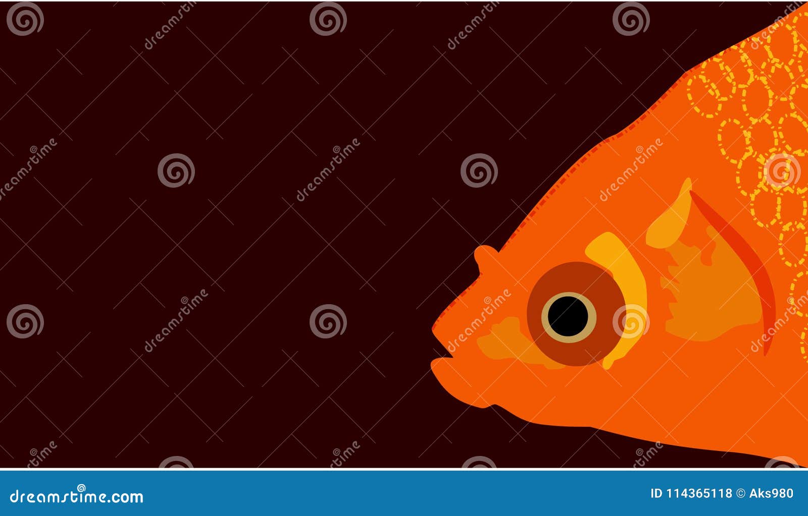 Gold Fish Face with Blank Space for Message or Object Clean Plain ...