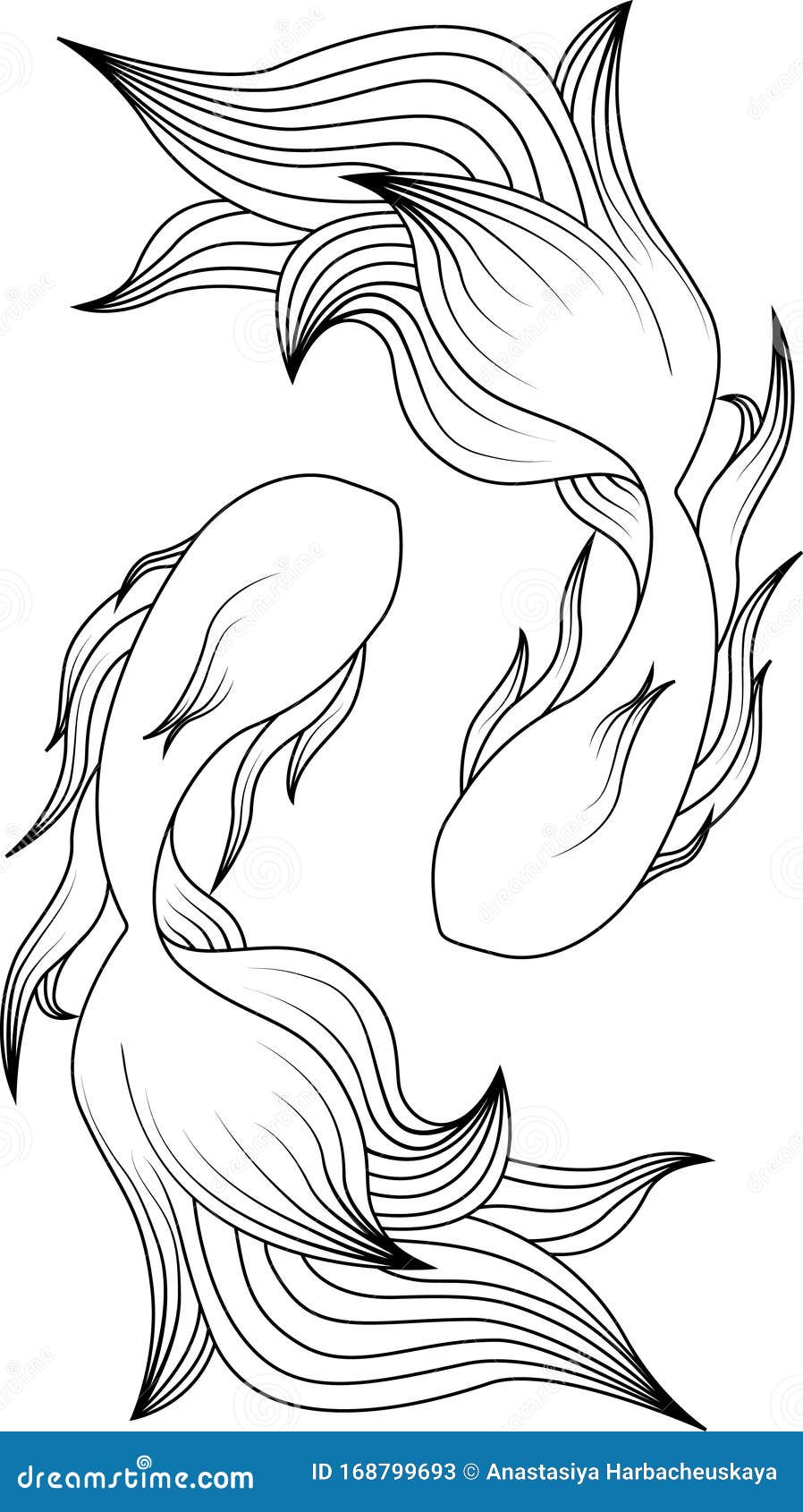 Gold Fish Mandala. Zentangle Style Stock Illustration - Illustration of ...