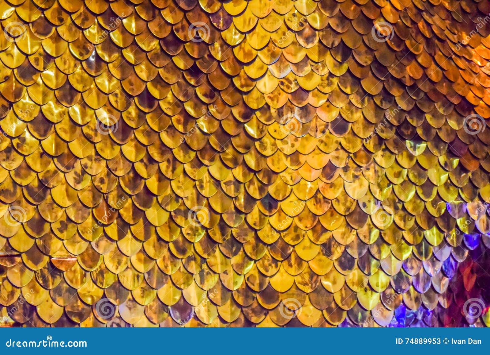 Gold Fish Scales Background Stock Image - Image of roach, horizontal ...