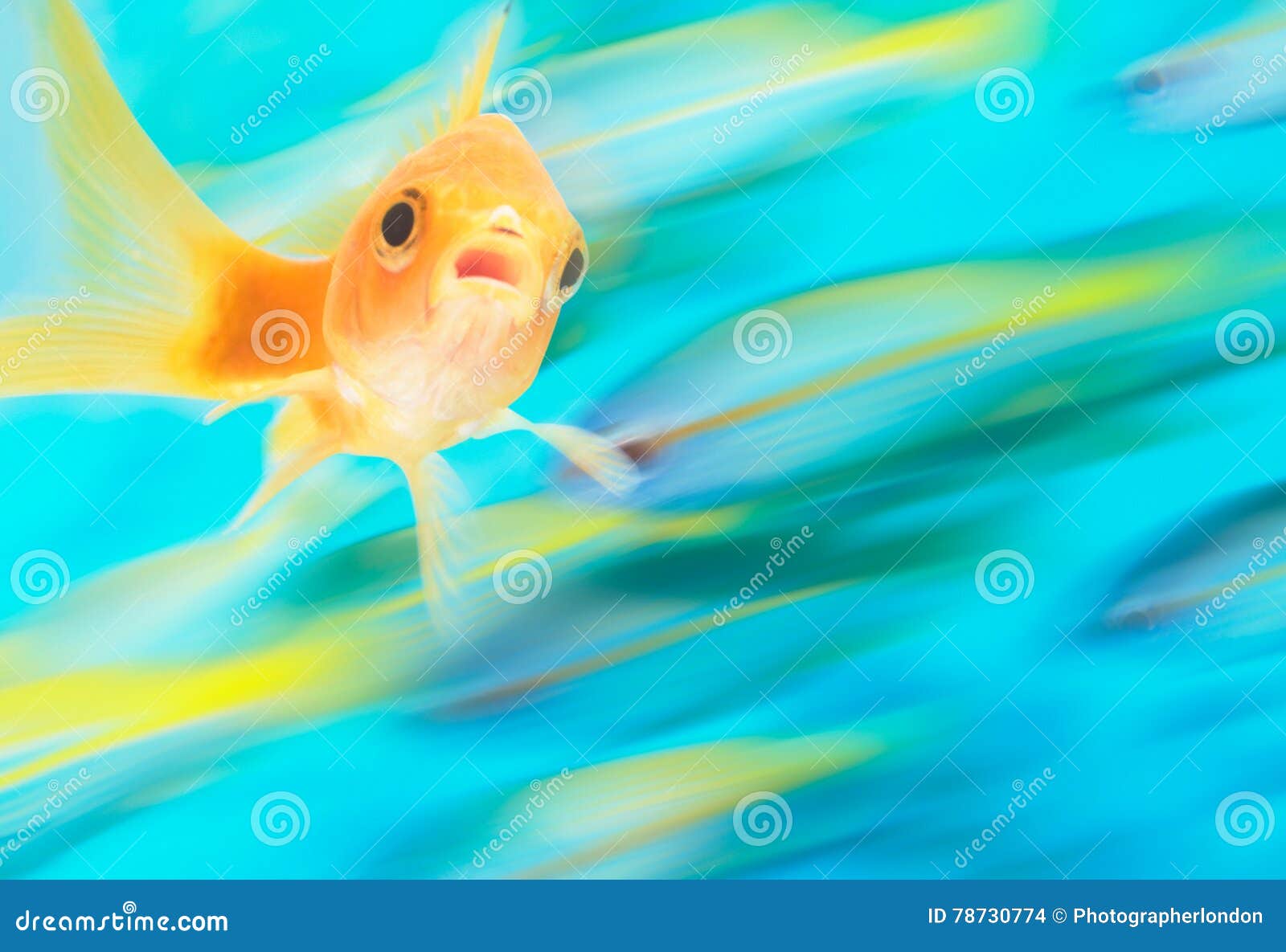 Digital Composite Of Green Question Mark Over Confused Schoolgirl ...