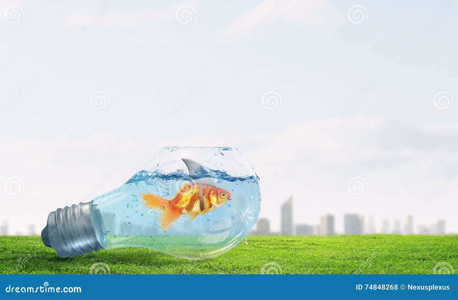 Gold Fish with Shark Flip . Mixed Media Stock Photo - Image of concept ...