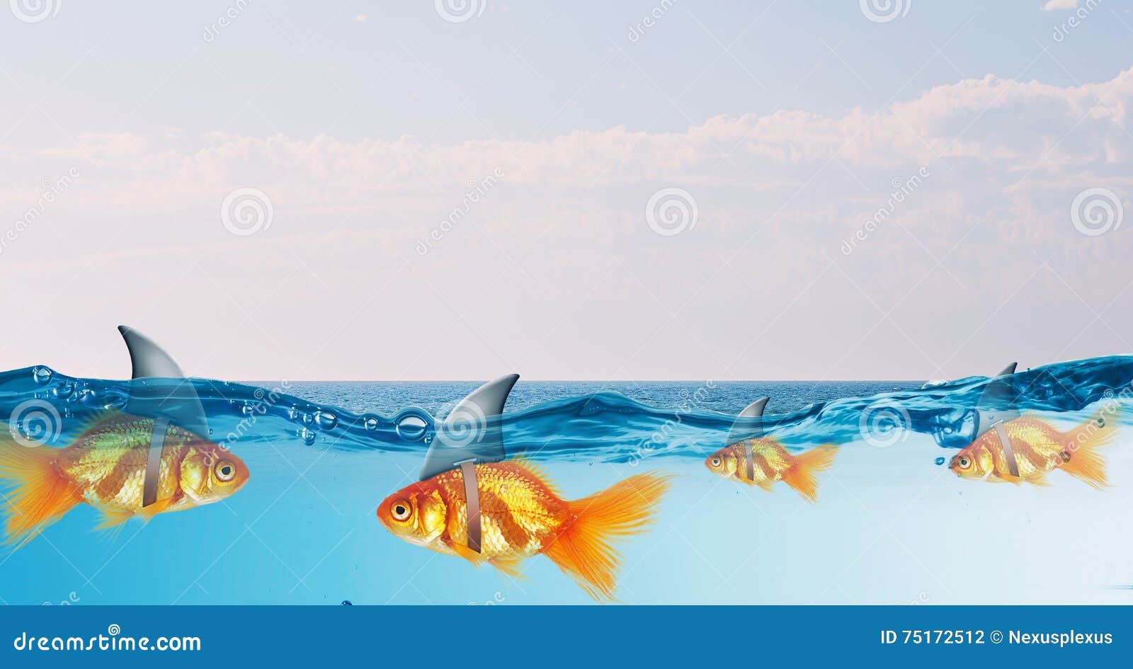 Gold Fish with Shark Flip . Mixed Media Stock Photo - Image of scare ...