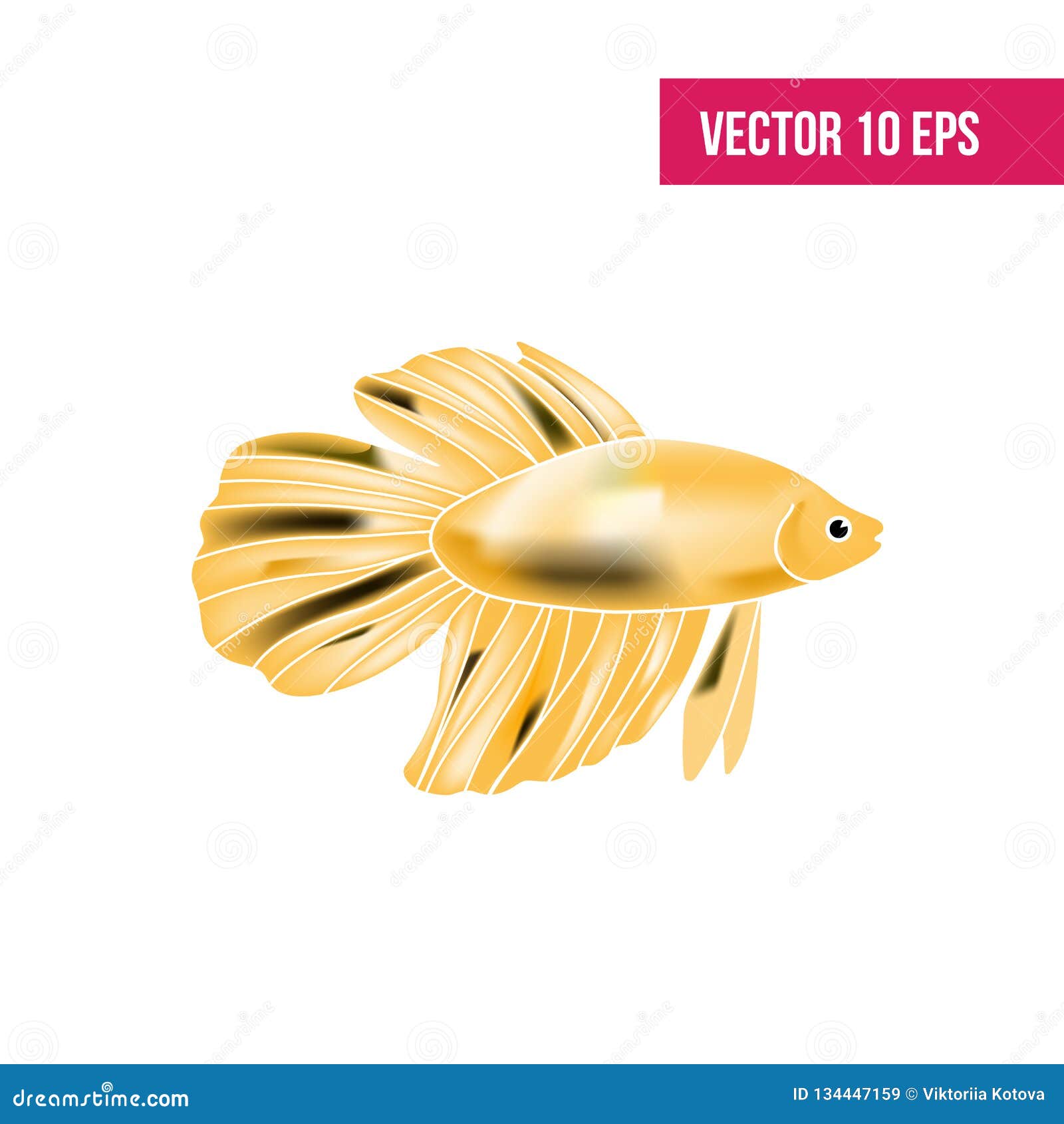 Gold Fish Vector Illustration on White Background Stock Vector ...