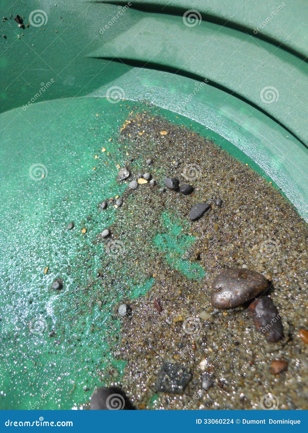 Gold flakes in a pan stock photo. Image of sand, outdoors - 33060224
