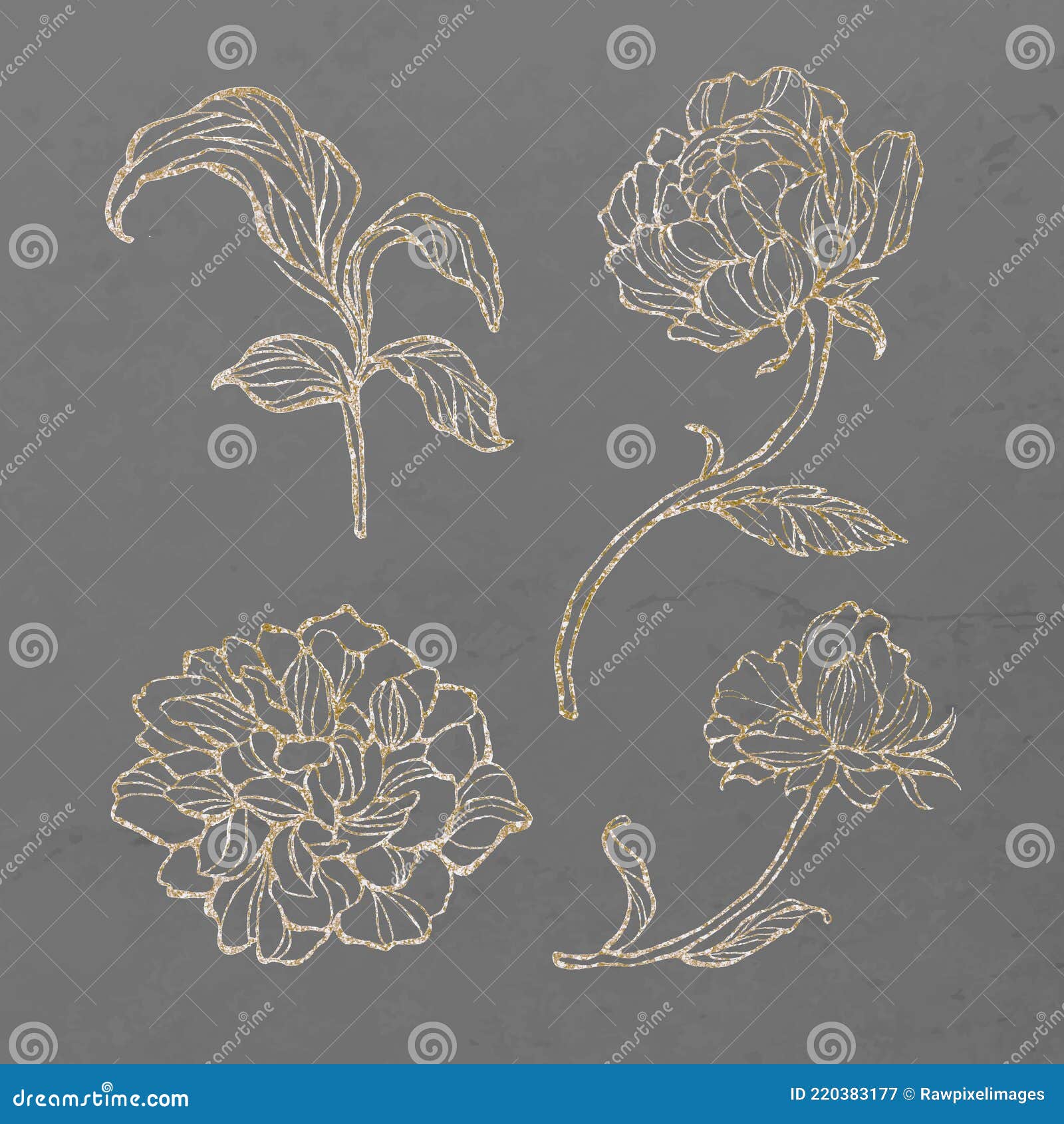 Gold Floral Outline Set Illustrated Stock Illustration - Illustration ...