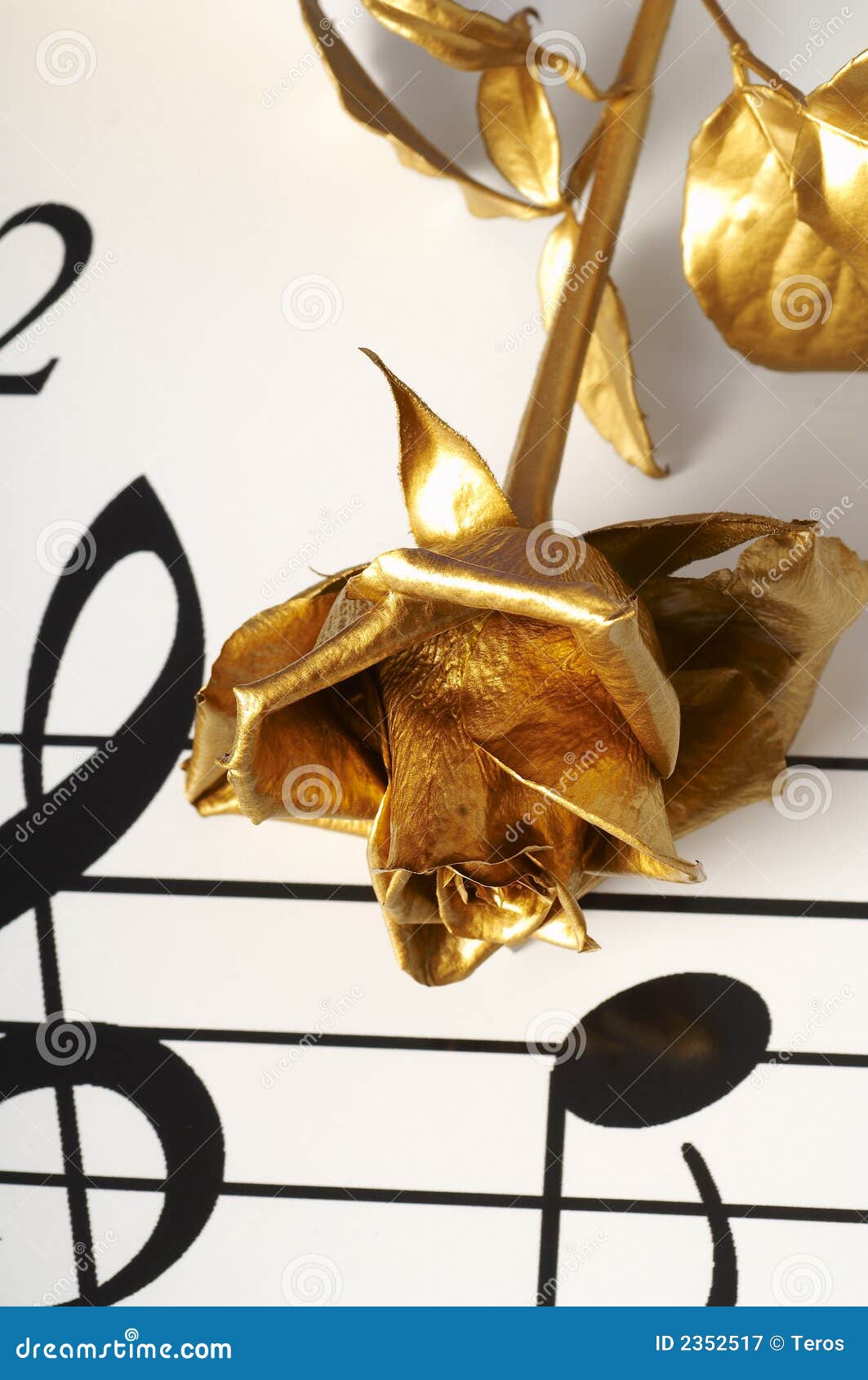 The gold flower and note stock image. Image of gift, nature - 2352517