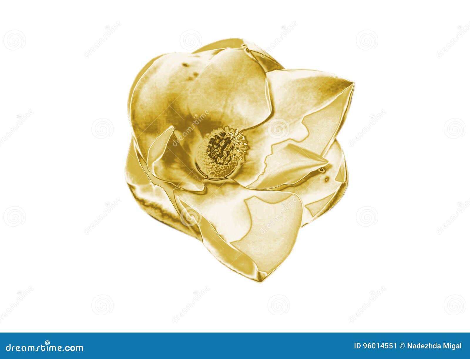 Gold flowers stock illustration. Illustration of rose - 96014551