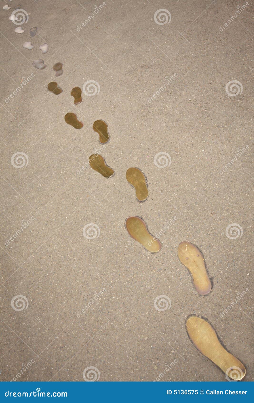 Gold Footprints Stock Images - Download 443 Royalty Free Photos