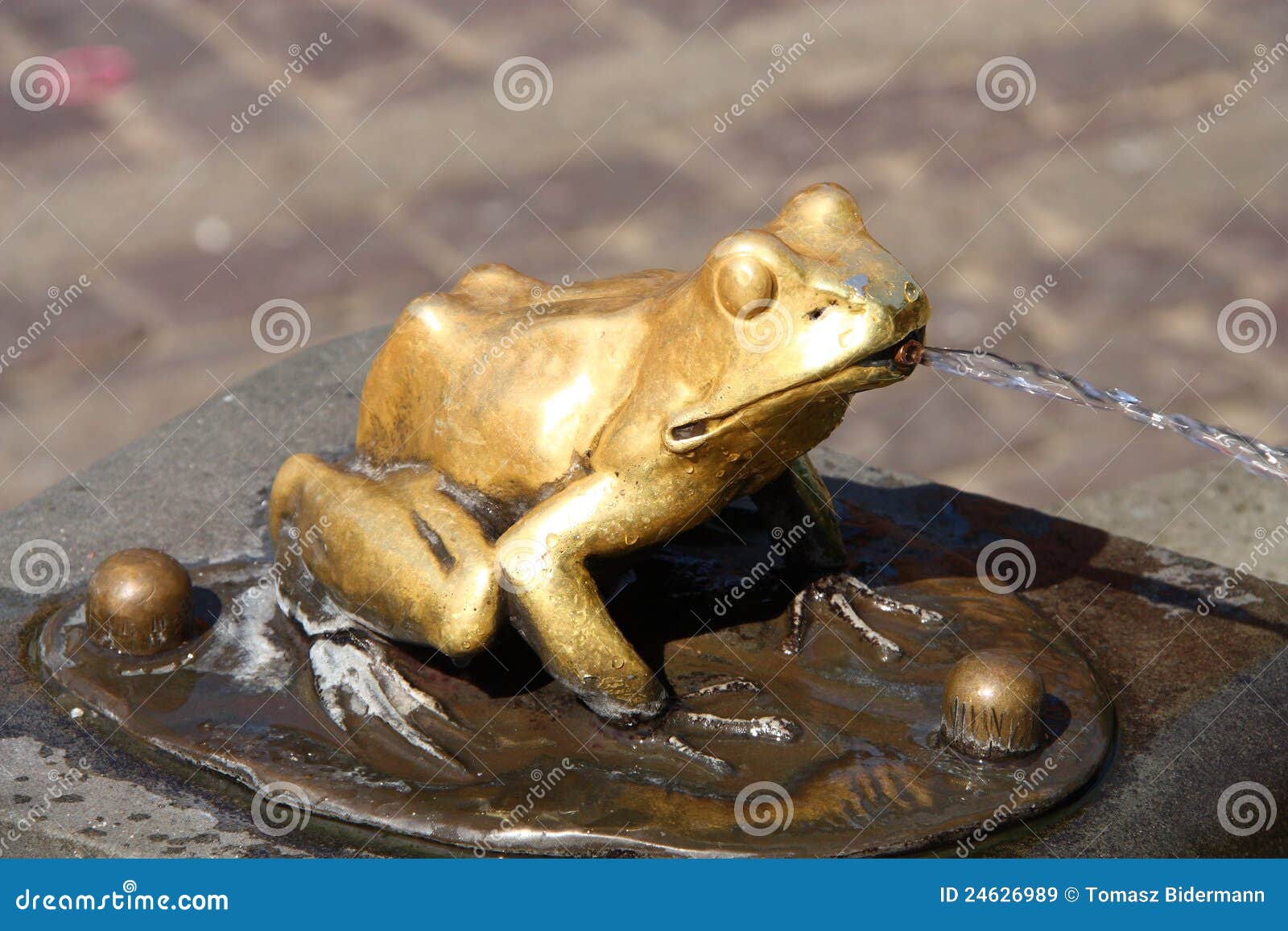 Gold frog stock image. Image of tourist, polish, statue - 24626989