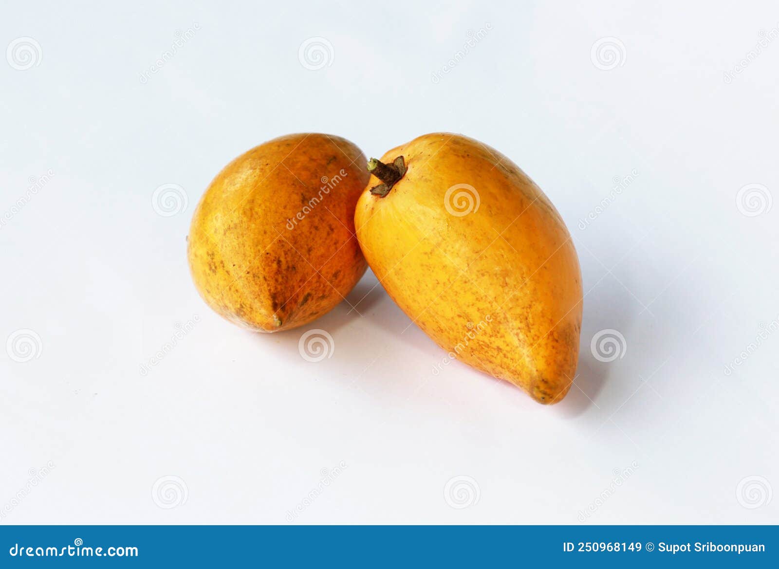 Gold fruit in tropical stock image. Image of delicious - 250968149