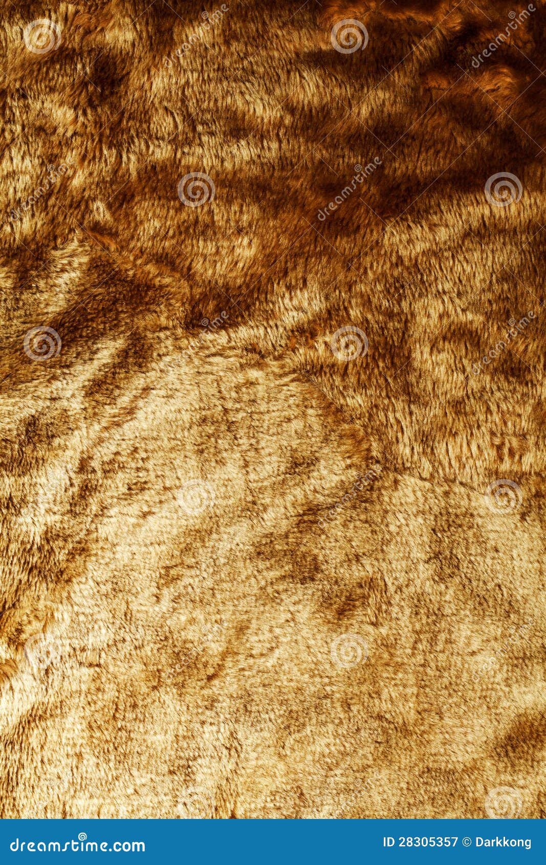 28,773 Gold Fur Stock Photos - Free & Royalty-Free Stock Photos from ...