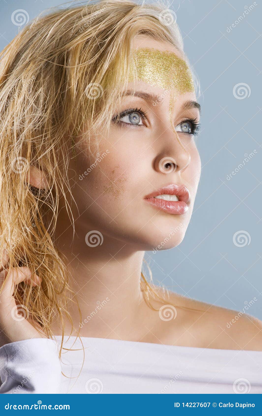 Gold girl stock image. Image of adult, cute, long, colourful - 14227607