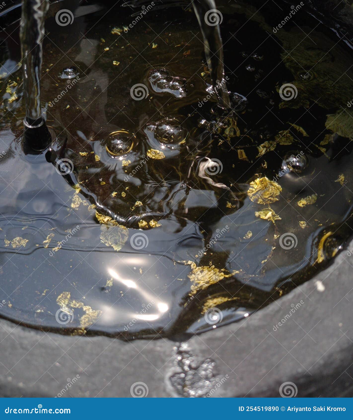 Gold stock photo. Image of lighting, snow, blue, plant - 254519890