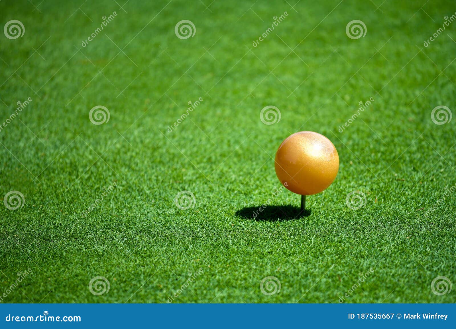 Gold Golf Tee Marker on Golf Course Stock Image - Image of game ...