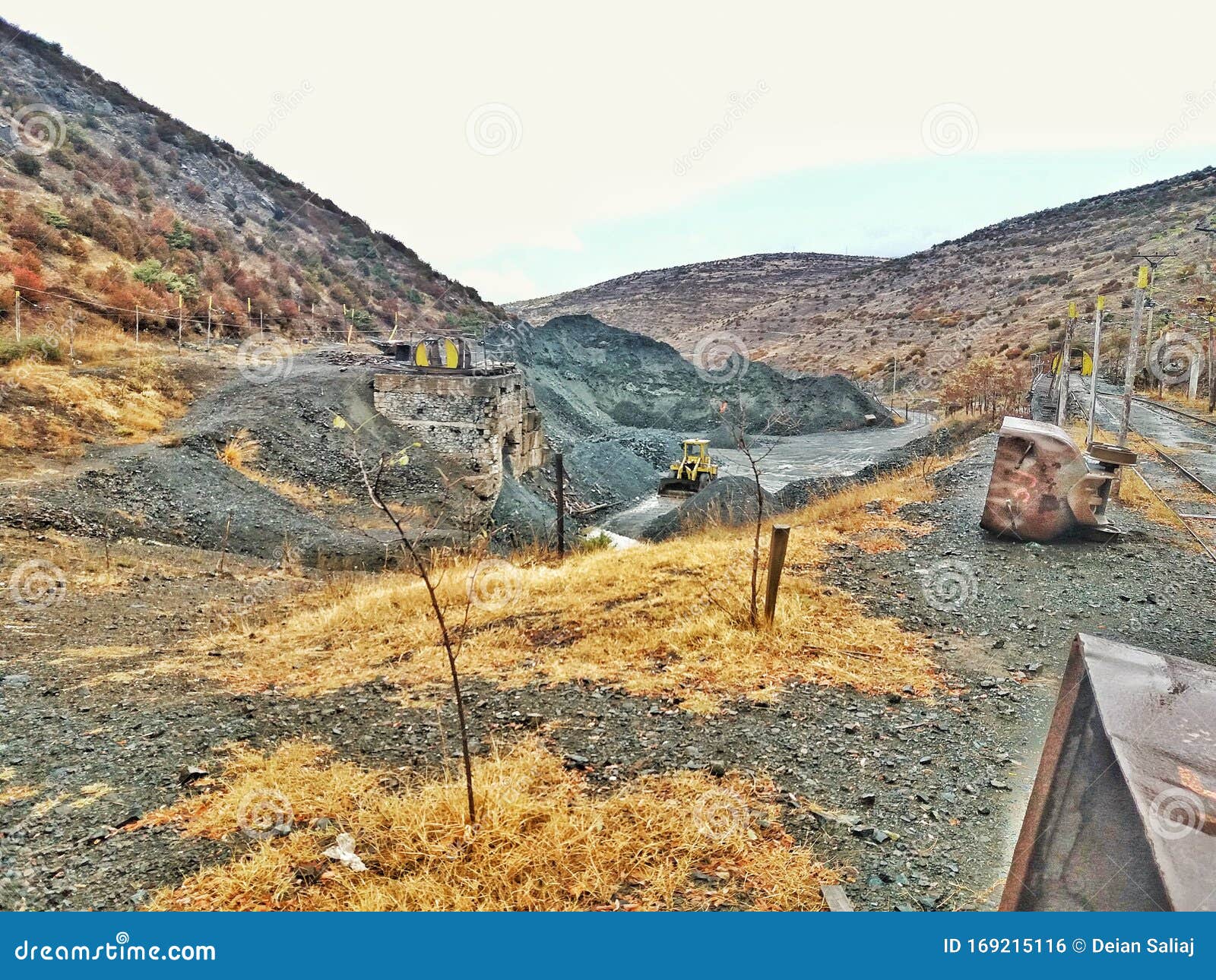 Gold grass in the mine stock photo. Image of grass, gold - 169215116