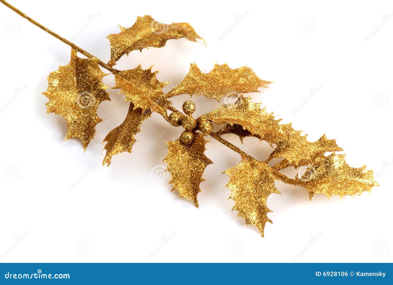 Gold Holly Royalty-Free Stock Photo | CartoonDealer.com #164462103
