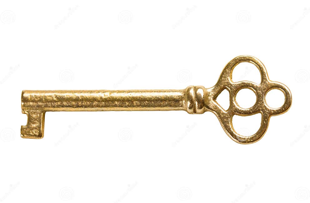 Gold key stock photo. Image of unlock, skeleton, finance - 13988904