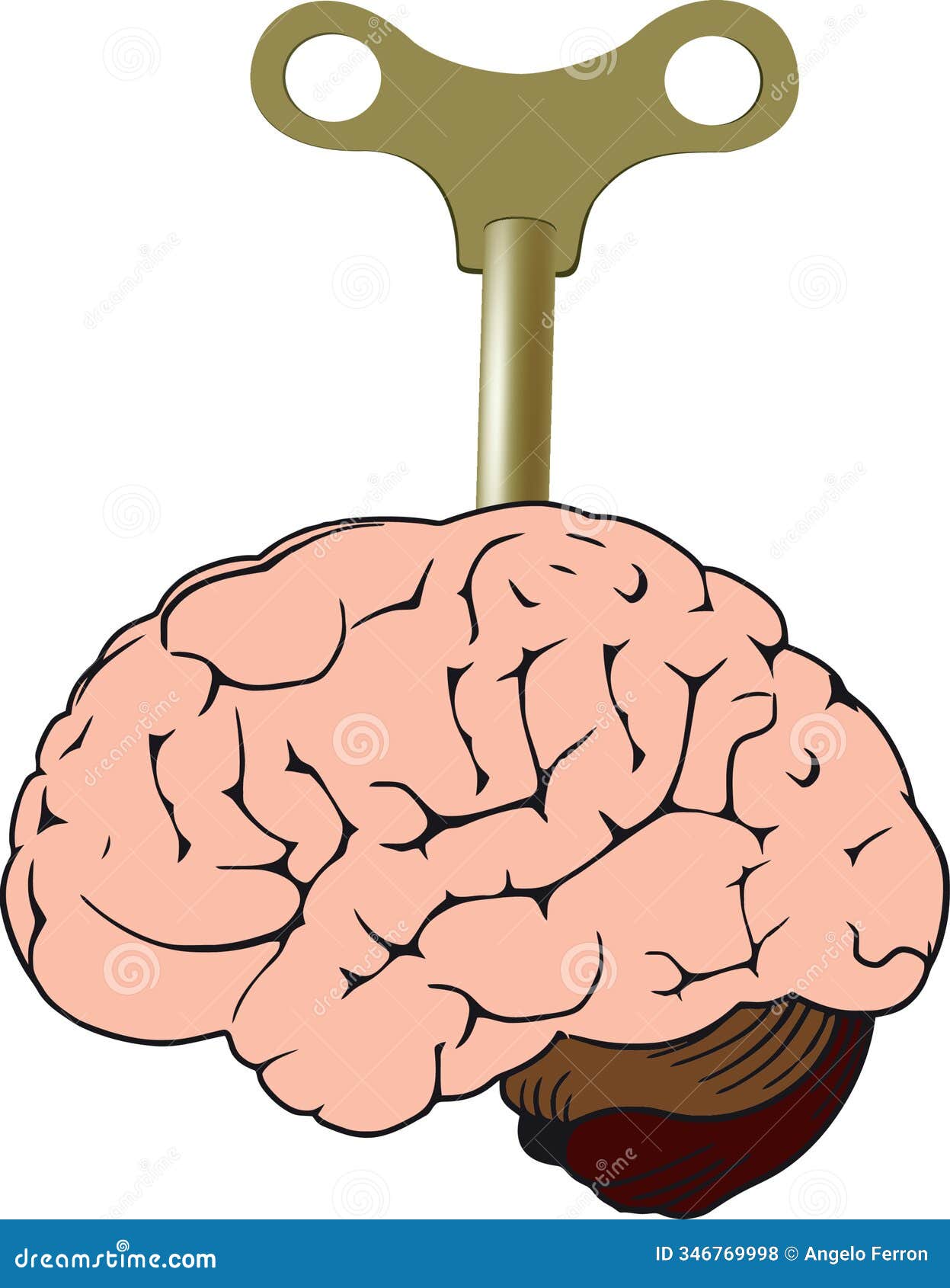 Winding Up a Human Brain with a Gold Key, Activating Intelligence and ...