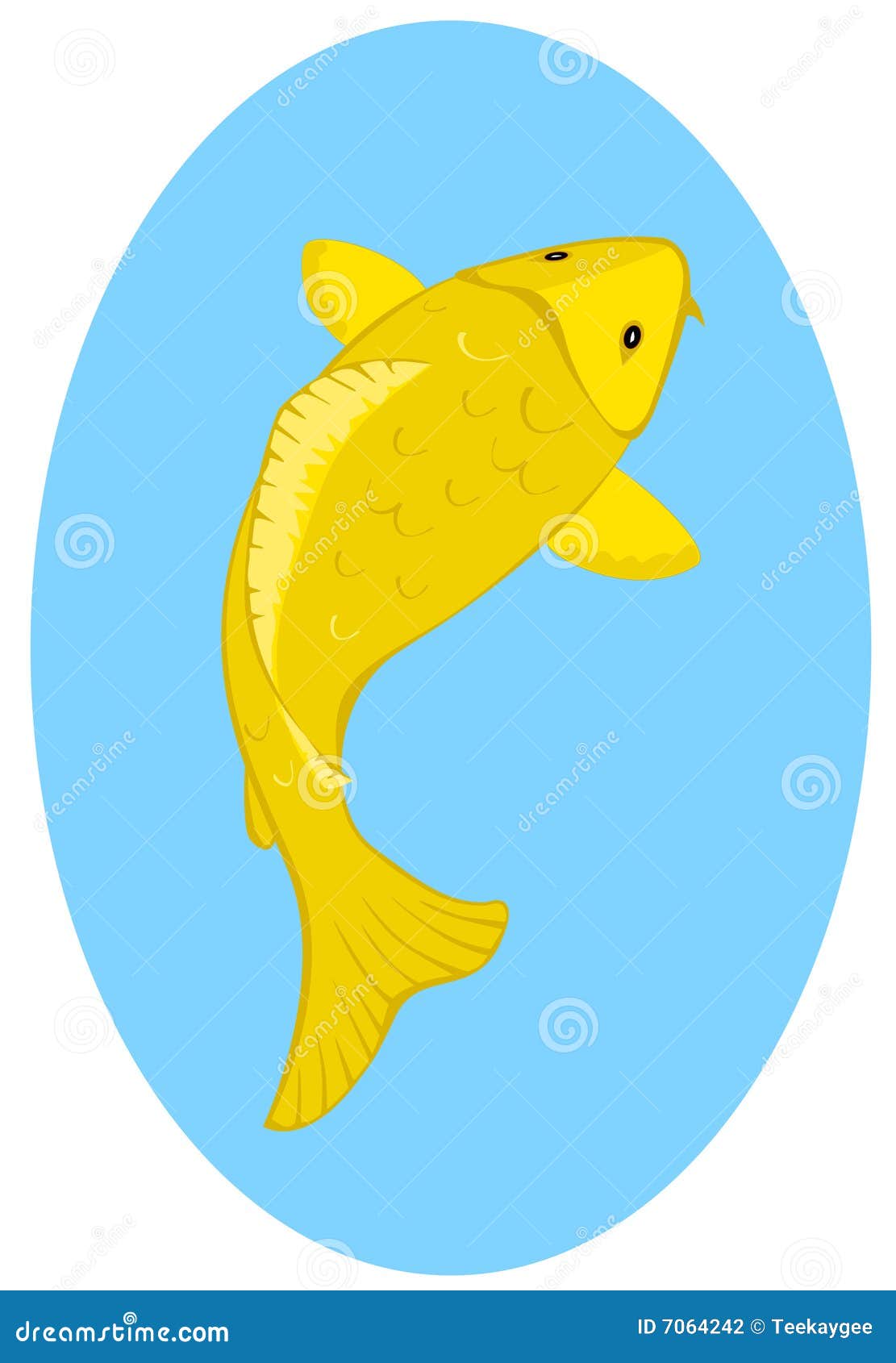 Gold koi stock vector. Illustration of drawing, oriental - 7064242