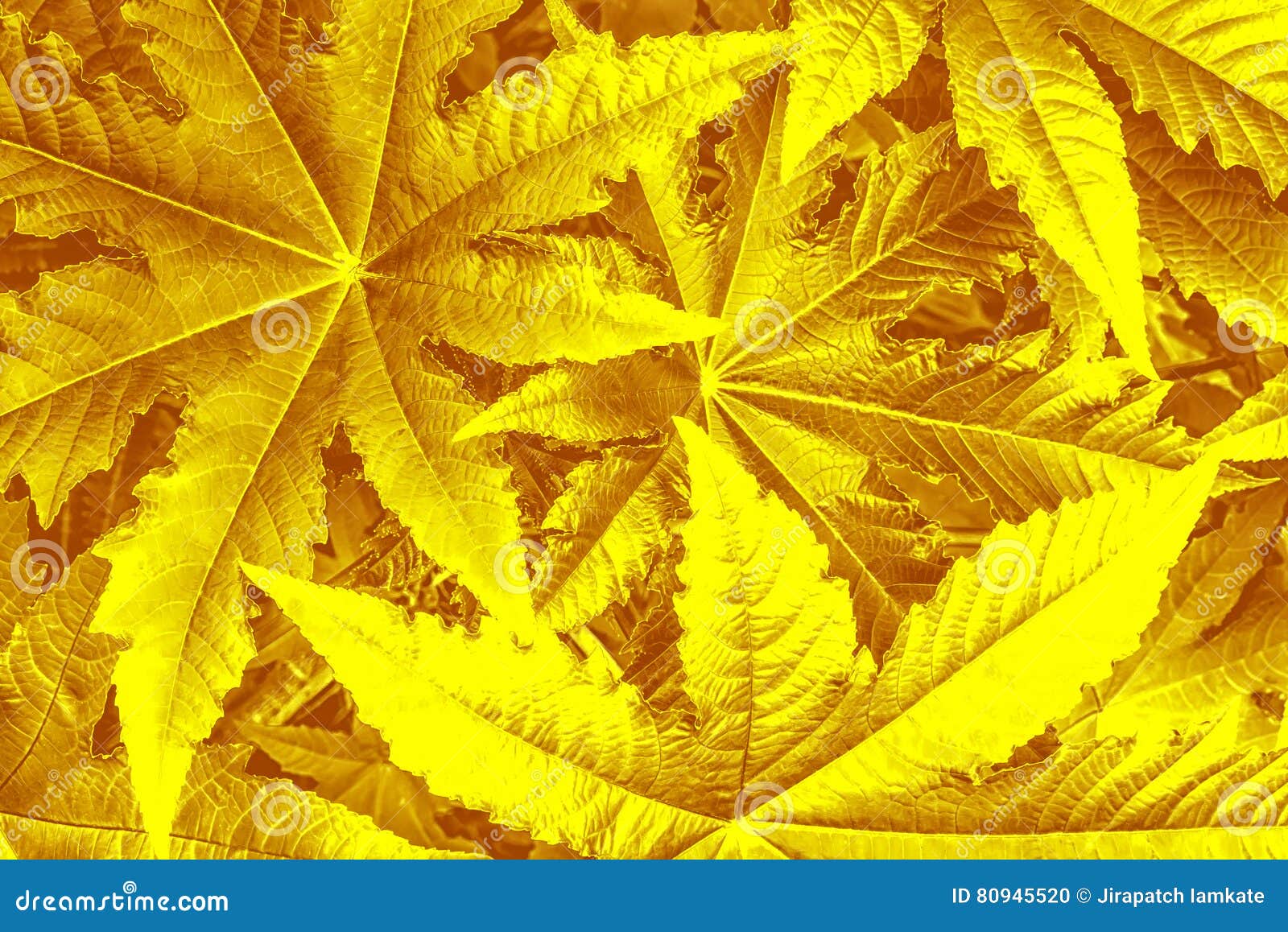 Gold Leaf Pattern on Vivid Color Stock Photo - Image of detail, shadow ...