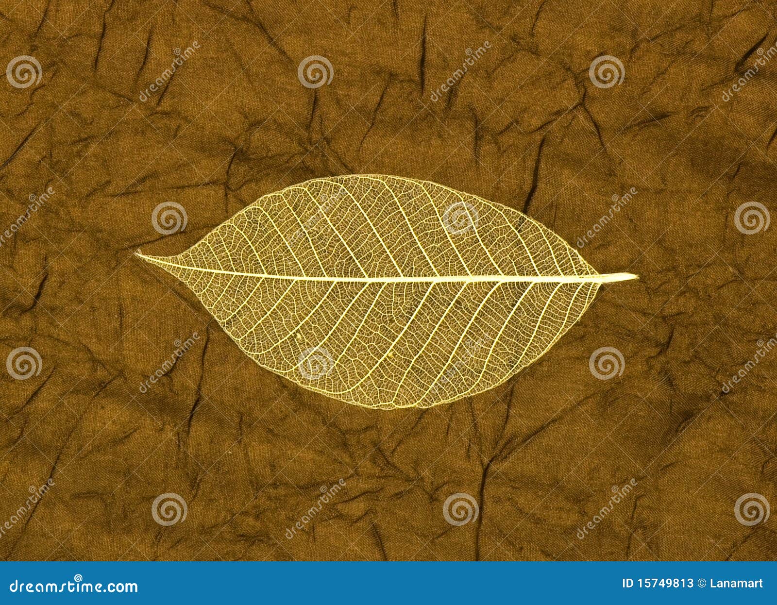 Gold leaf skeleton stock image. Image of background, microscopic - 15749813
