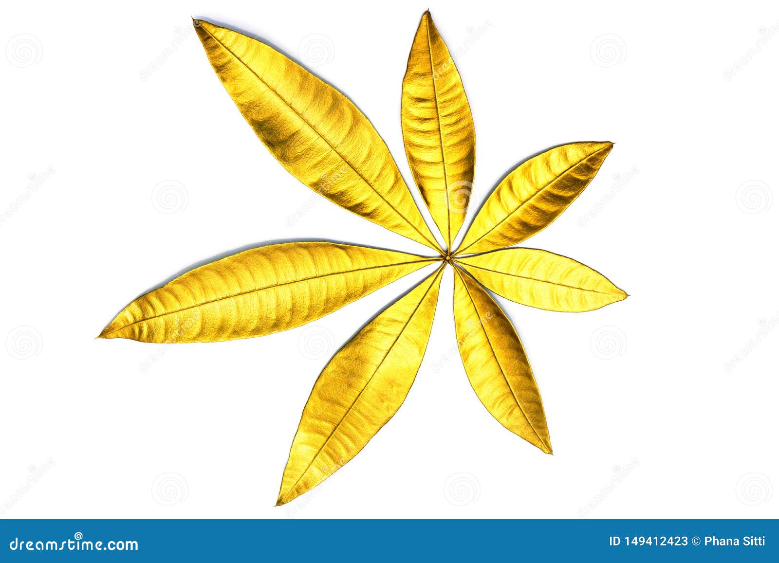 Gold Tree Leaf Texture Isolated on White Background Stock Image - Image ...