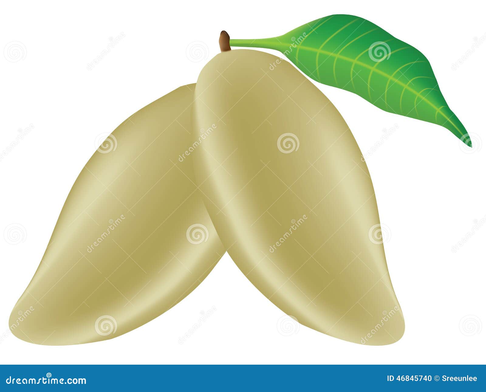 Gold Mango. stock vector. Illustration of fresh, healthy - 46845740