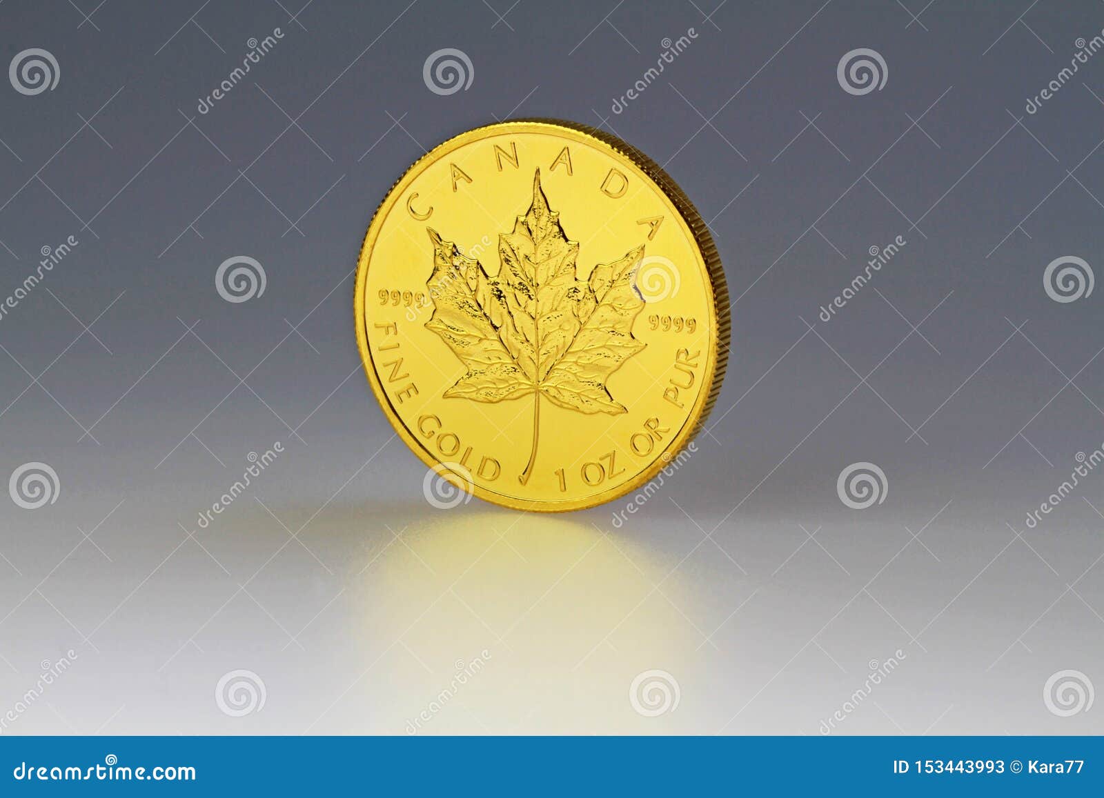 Gold_maple editorial stock photo. Image of ounce, canadian - 153443993