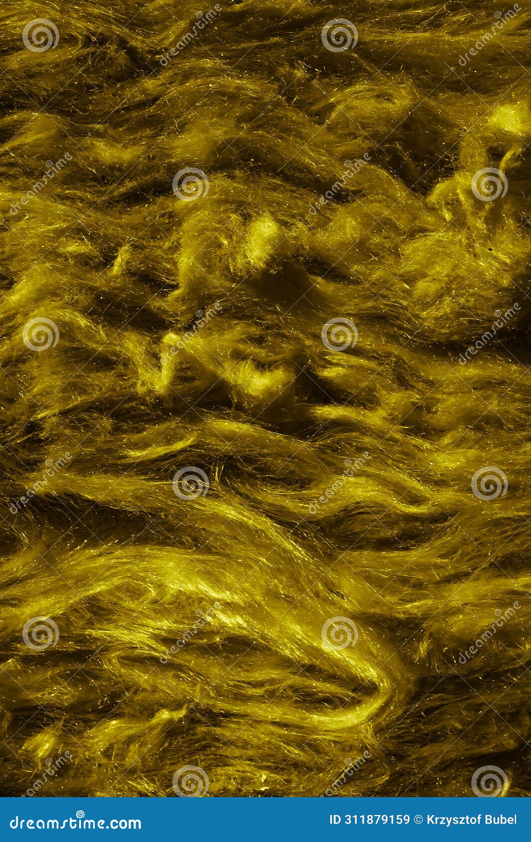 Gold Mineral Wool with a Visible Texture Stock Image - Image of ...