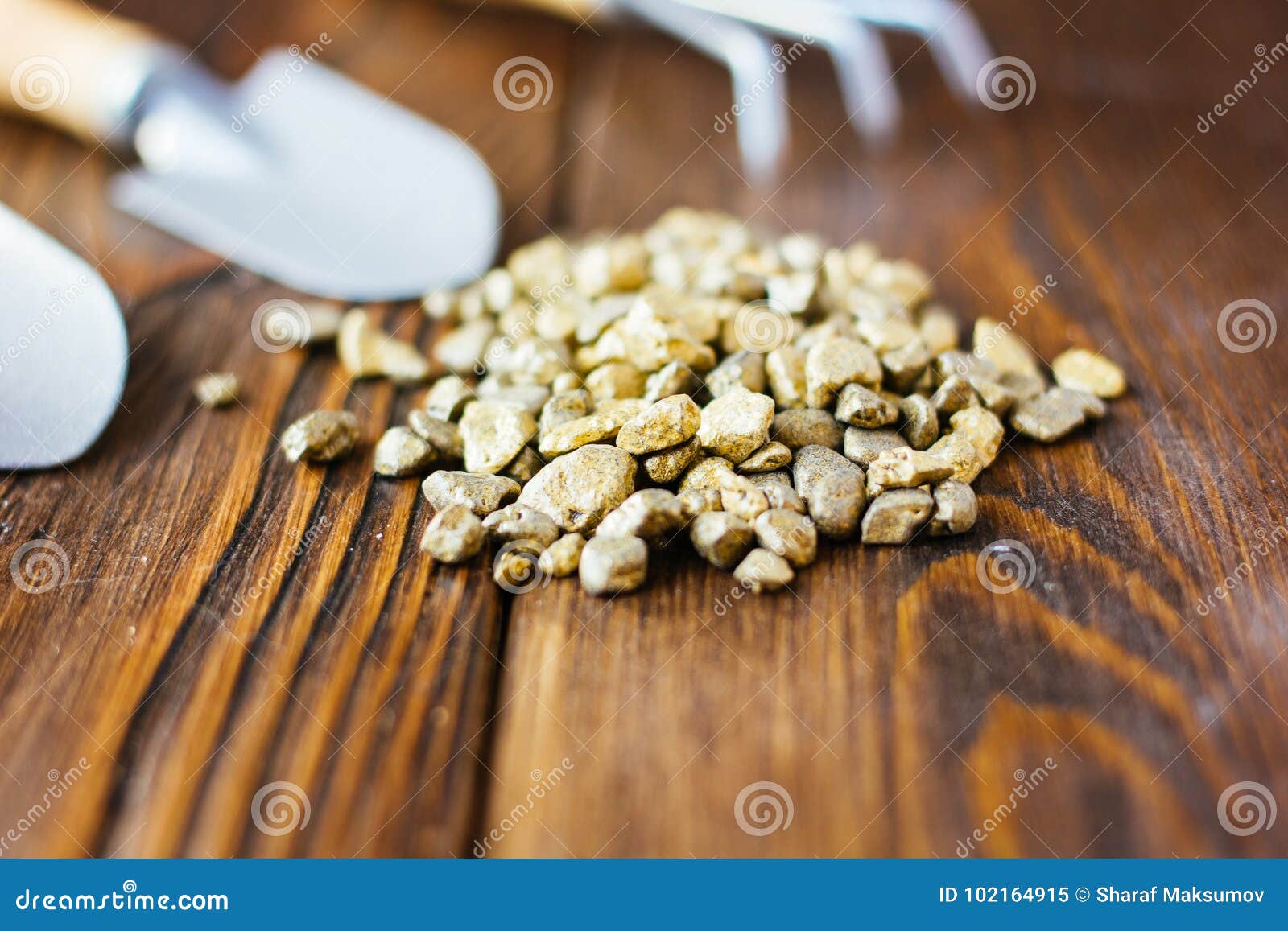 Gold Mining Concept - Golden Sand with Instruments for Mining. Stock ...