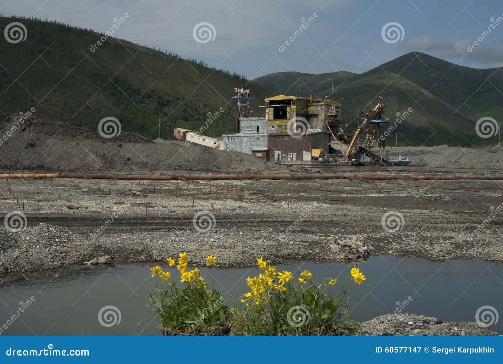 Gold mining stock image. Image of magadan, summer, flowers - 60577147